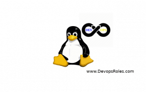 fd command in Linux example 01 - DevopsRoles.com