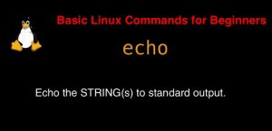 echo command in Linux with Examples - DevopsRoles.com Better 2025