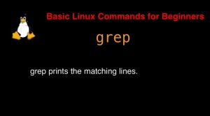 Mastering the grep command in Linux: A Comprehensive Guide with Examples - DevopsRoles.com ...