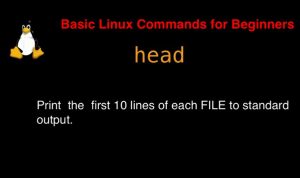 head command in Linux with Examples - DevopsRoles.com Better 2025