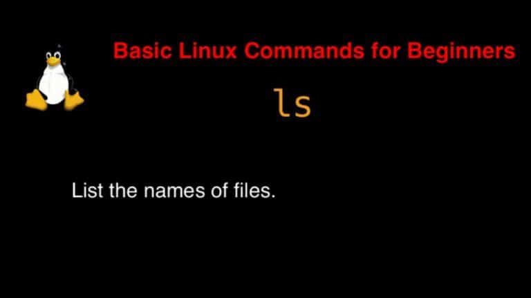 Ls Command In Linux With Examples DevopsRoles Free 1 ls-command-in-linux-with-examples-devopsroles-free-1