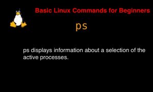 Mastering the ps command in Linux: A Comprehensive Guide with Examples - DevopsRoles.com Better 2025