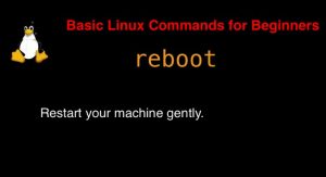 reboot command in Linux with Examples - DevopsRoles.com Better 2025