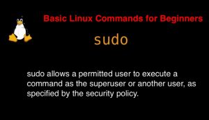 sudo command in Linux with Examples 01 - DevopsRoles.com