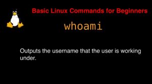 whoami command in Linux with Examples - DevopsRoles.com free 2025