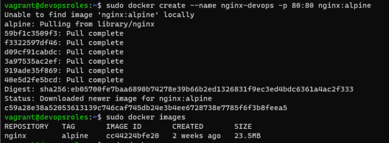 Step-by-Step: Create Docker Image from a Running Container - DevopsRoles.com Better 2025