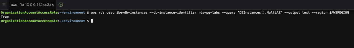 Manage The Rds Postgresql Instance Using The Aws Cli
