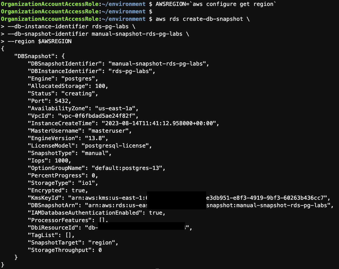 Manage The Rds Postgresql Instance Using The Aws Cli