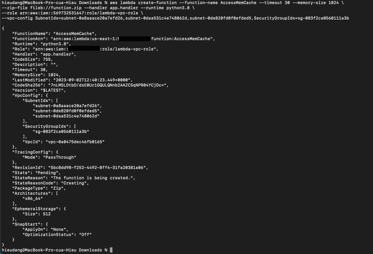 Create a Lambda to access ElastiCache - DevopsRoles.com Better 2025