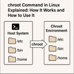 chroot Command in Linux Explained: How It Works and How to Use It ...